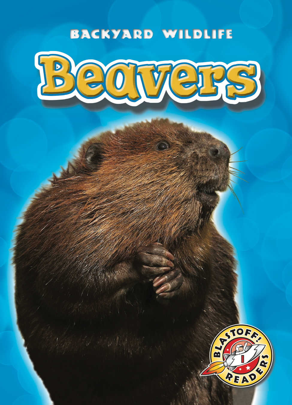 Beavers