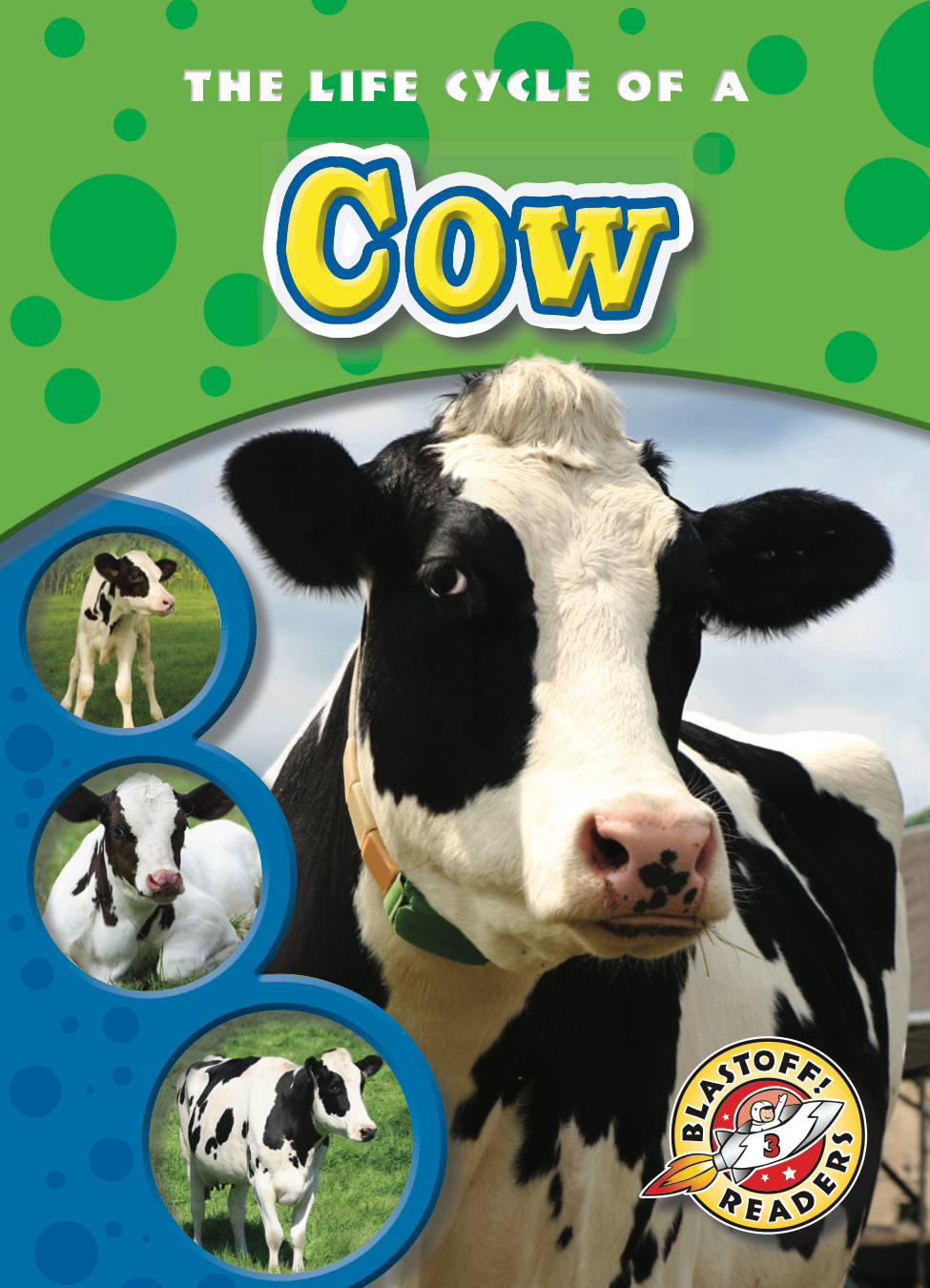 Life Cycle of a Cow, The