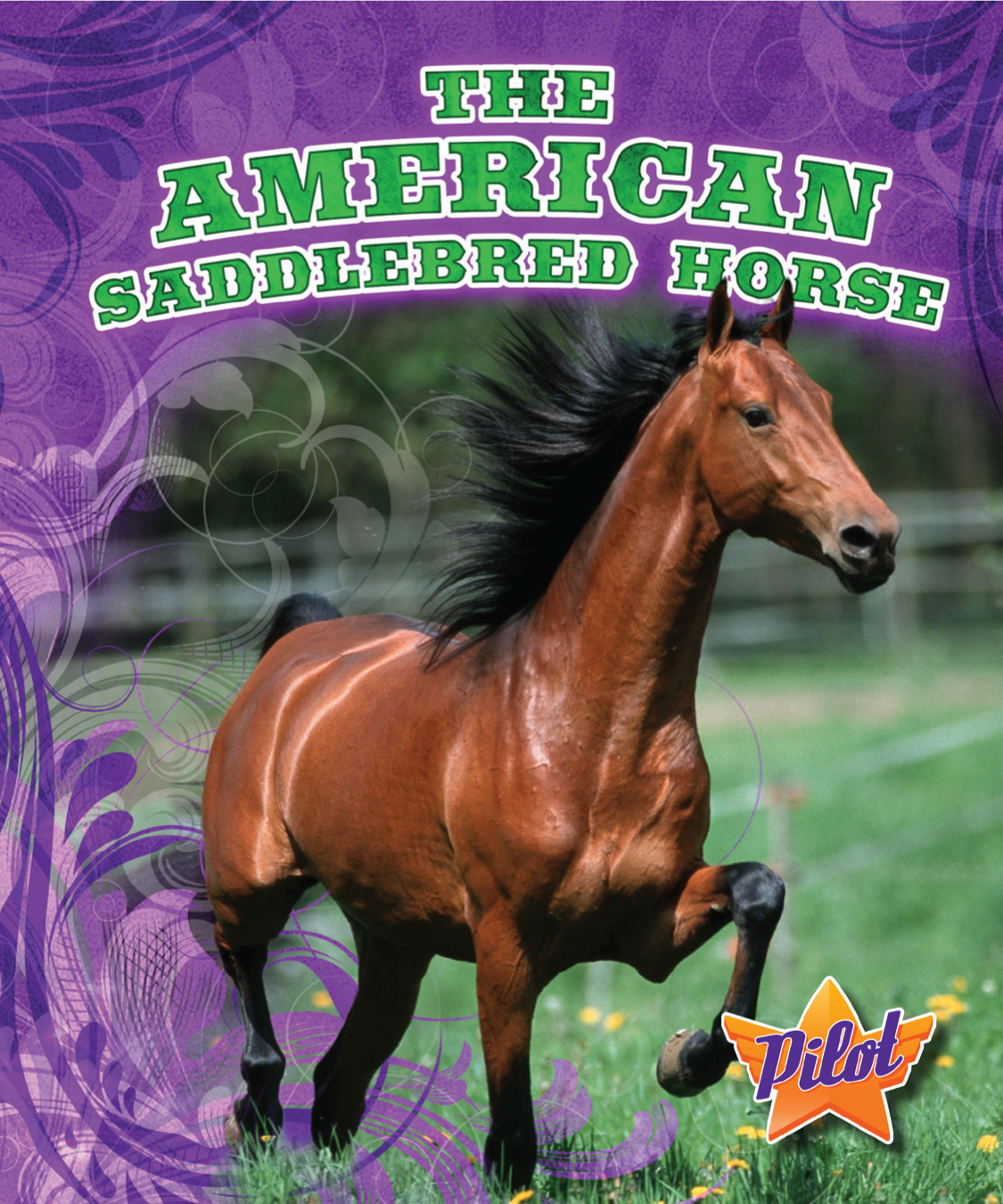 American Saddlebred Horse, The