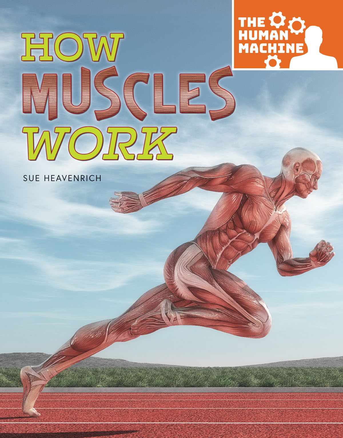 How Muscles Work How Muscles Work