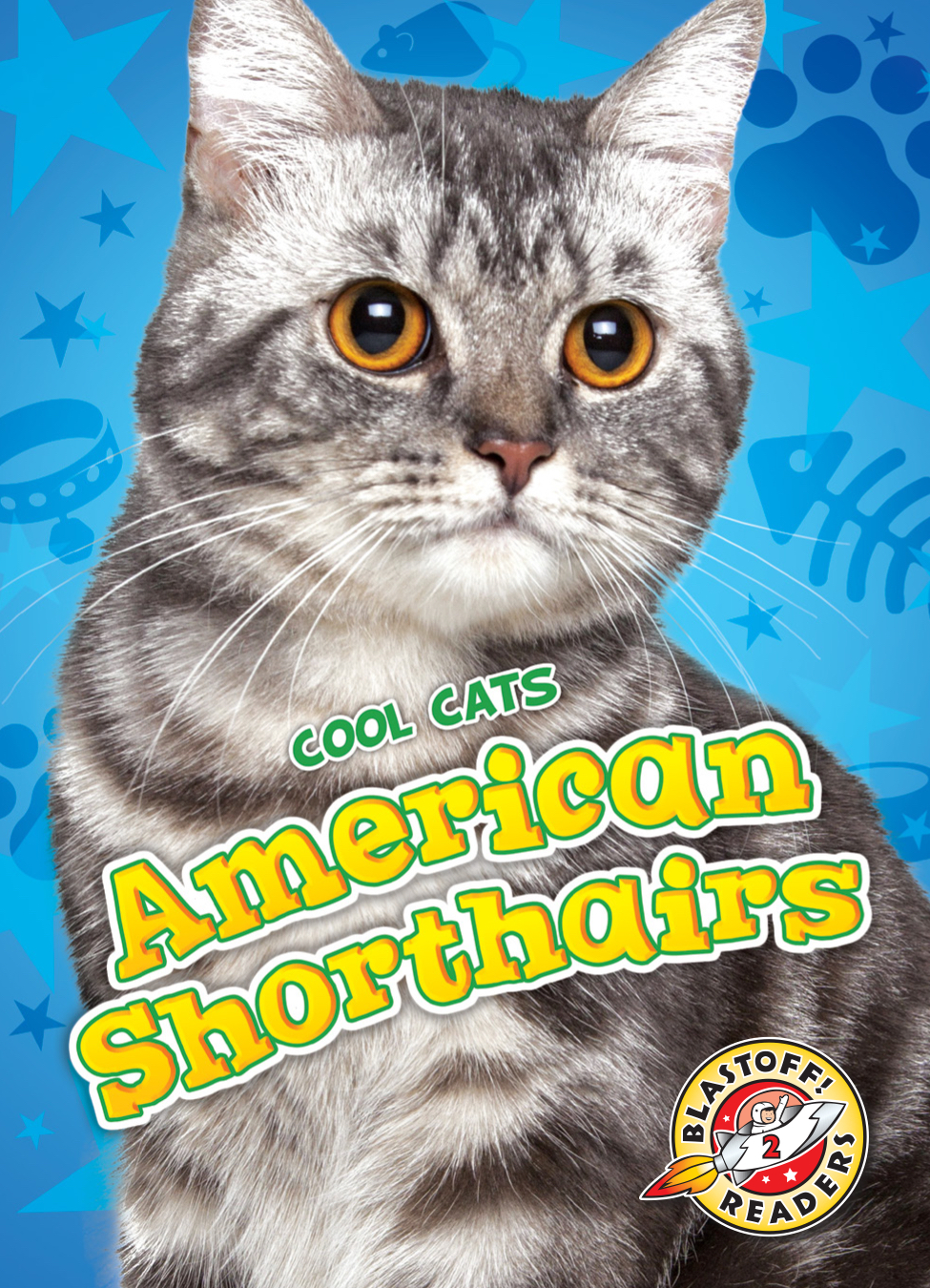 American Shorthairs