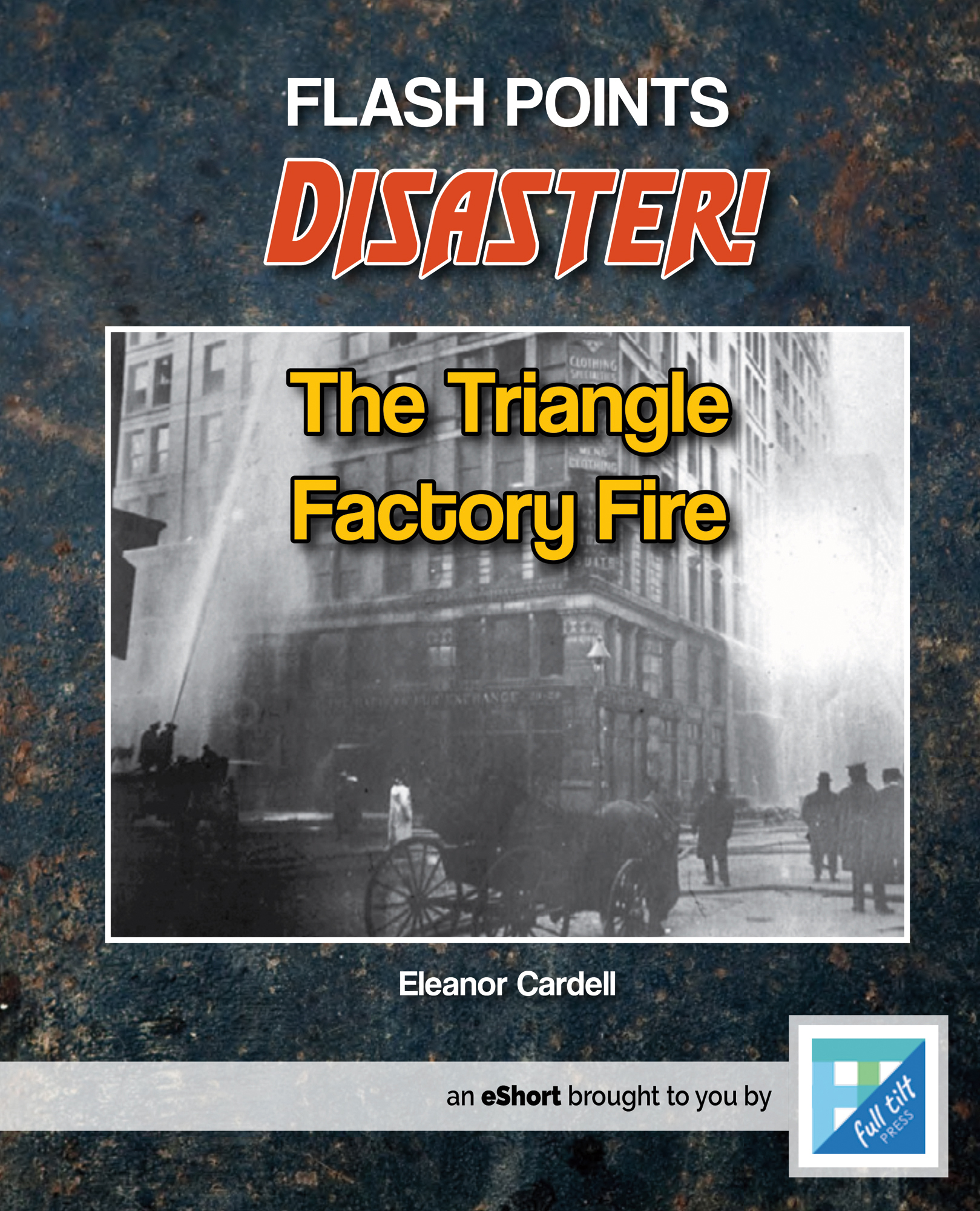 The Triangle Factory Fire epub (365 day access)